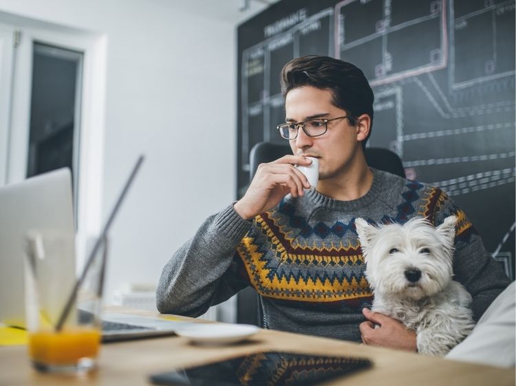 Ruminant Animals: Understanding Nature’s Unique Digestive System ...