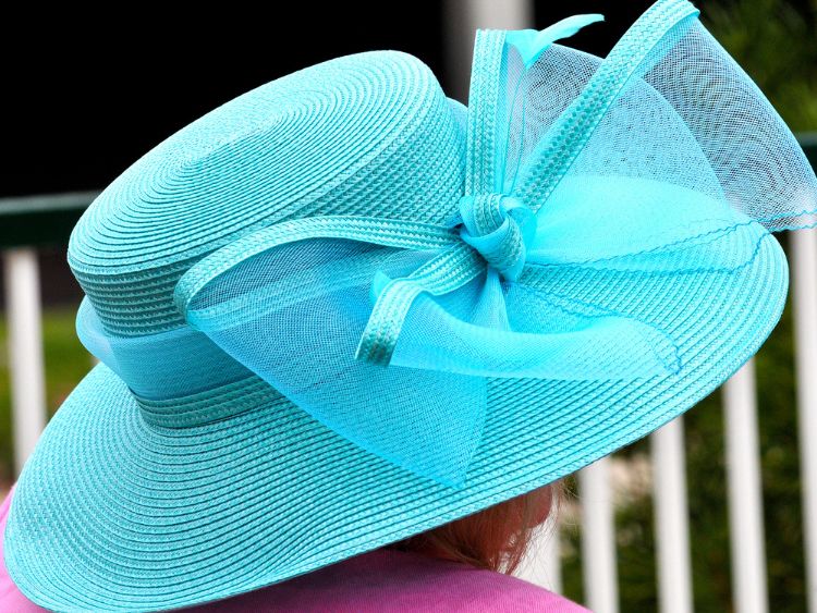 Exploring the Best Fashion Websites: A Detailed Review - Animal Guides